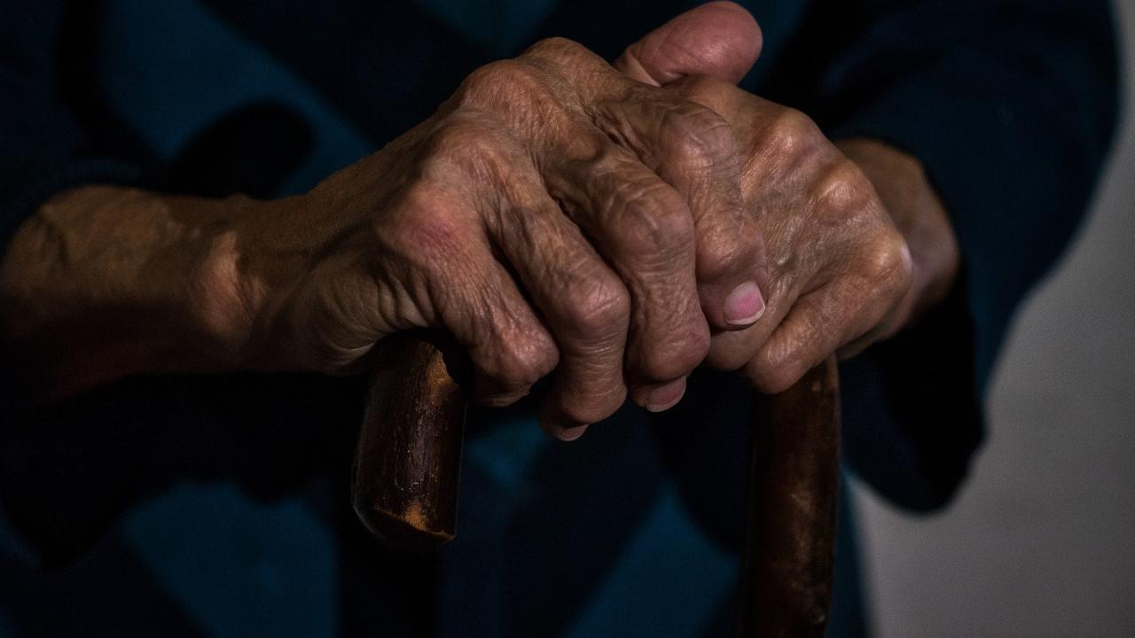 The Importance of Diverse VCID | Diverse Vascular Contributions to ...